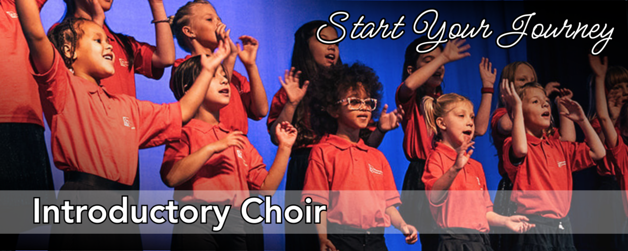 Introductory Choir | Milwaukee Children's Choir